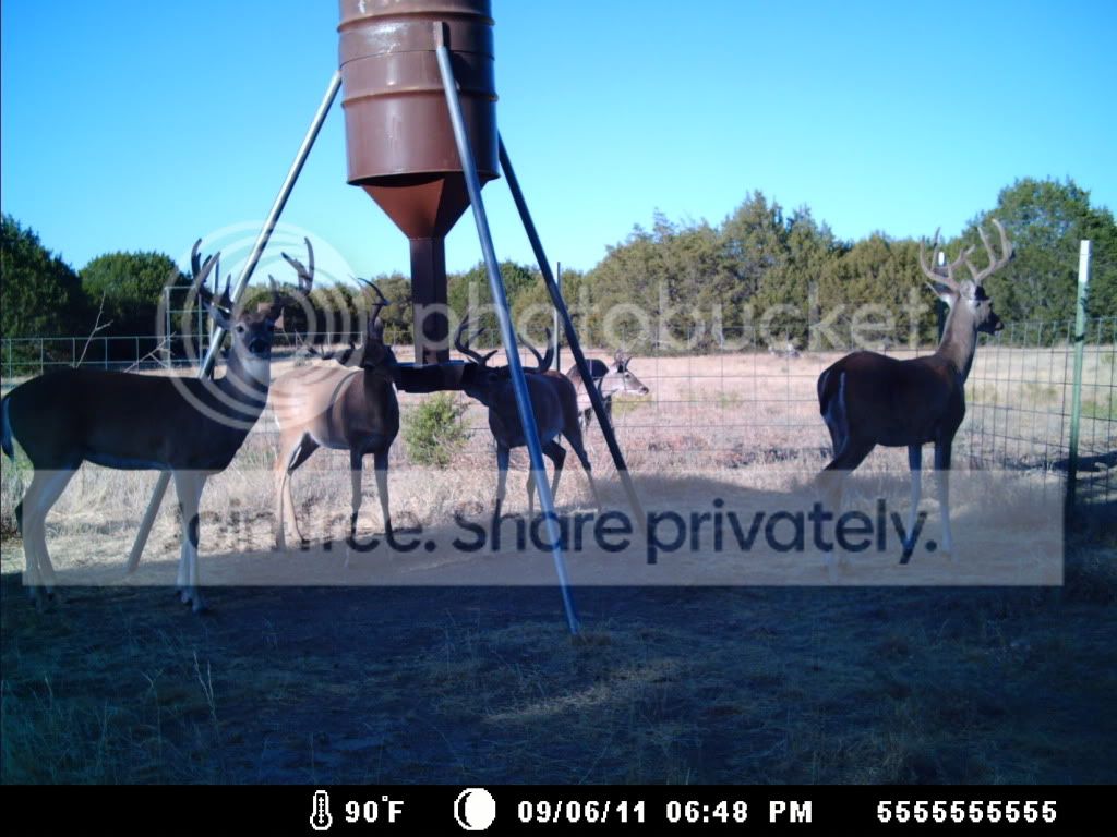 Lometa??? - Texas Hunting Forum