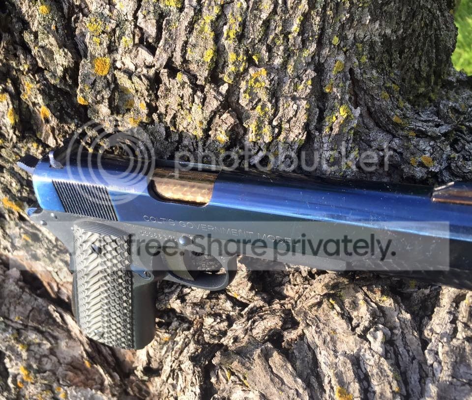 Nitre bluing - Show and Tell - TNGunOwners.com